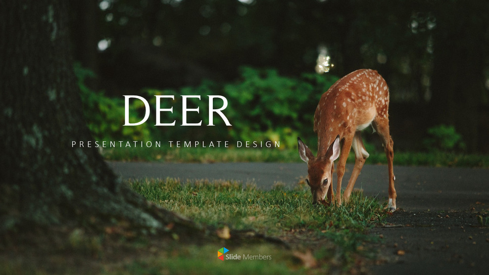 deer profile template