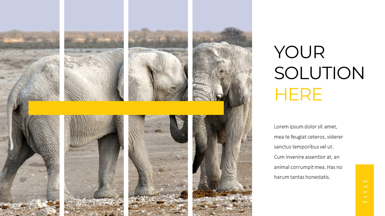 Elephant Powerpoint Template