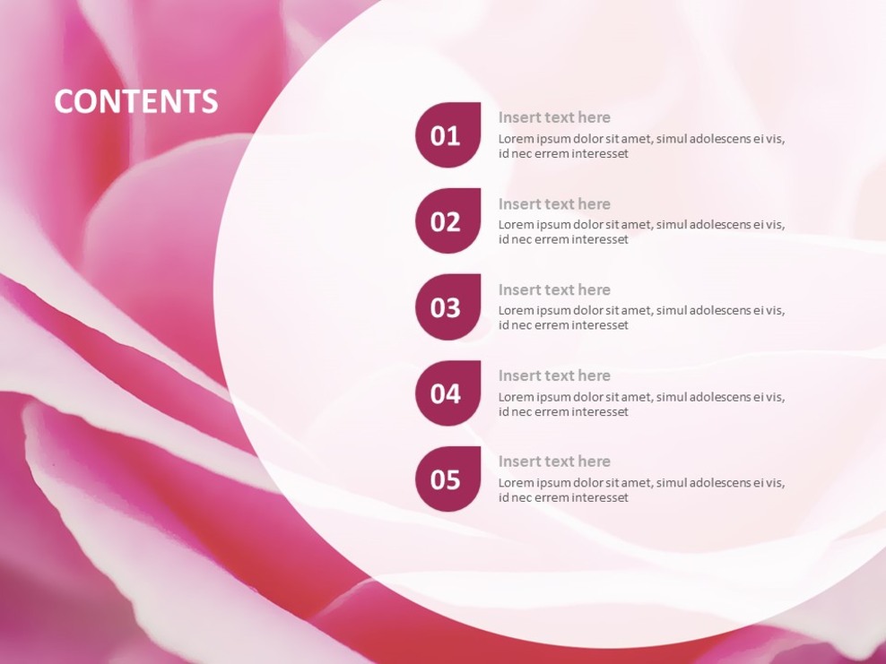 Magenta Rose Background - Free PPT Sample|Templates|Slides