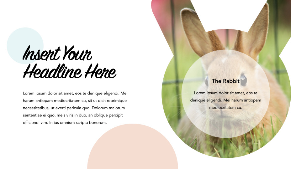 Rabbit PowerPoint to Keynote|Lifestyle