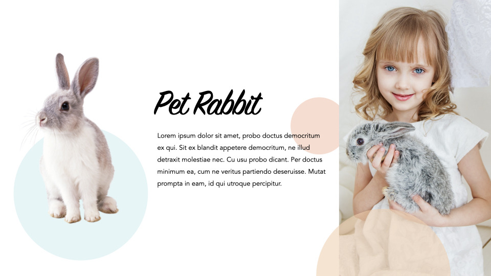 Rabbit PowerPoint to Keynote|Lifestyle