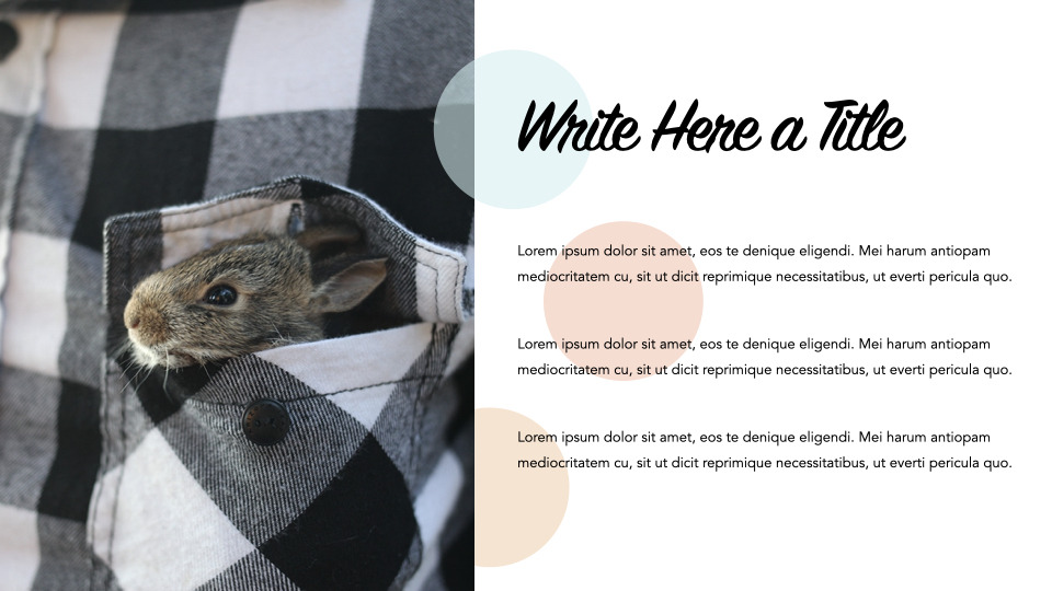 Rabbit PowerPoint to Keynote|Lifestyle