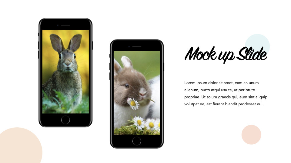 Rabbit PowerPoint to Keynote|Lifestyle
