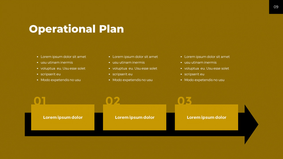 Plan operativo conjunto de diapositivas|Procesos de negocio|Soltero