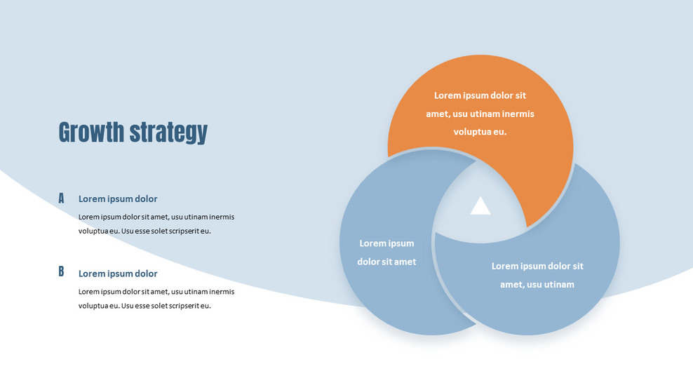 Growth strategy Single Slide