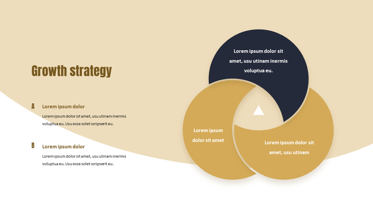 Growth strategy Single Slide