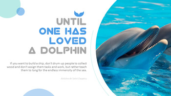Dolphin PowerPoint Templates for Presentation