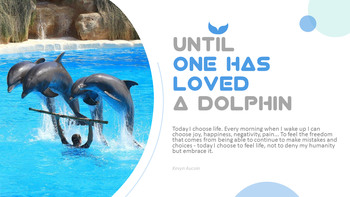 돌고래 프레젠테이션용 PowerPoint 템플릿