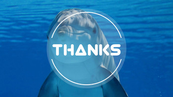 돌고래 프레젠테이션용 PowerPoint 템플릿