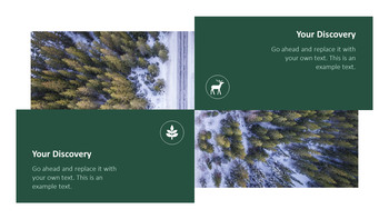 Forest PowerPoint Templates Multipurpose Design
