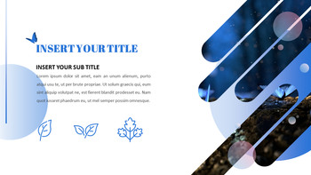 Butterfly Slide Presentation