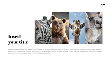 Zoo Google Slides Templates for Your Next Presentation