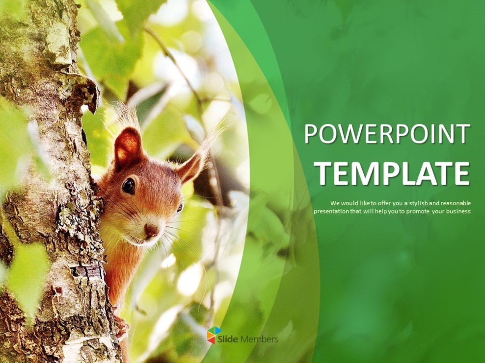 A Squirrel on the Tree - Free PPT Sample