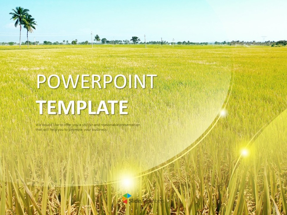 Free Powerpoint Template - Ripening Rice on the Field