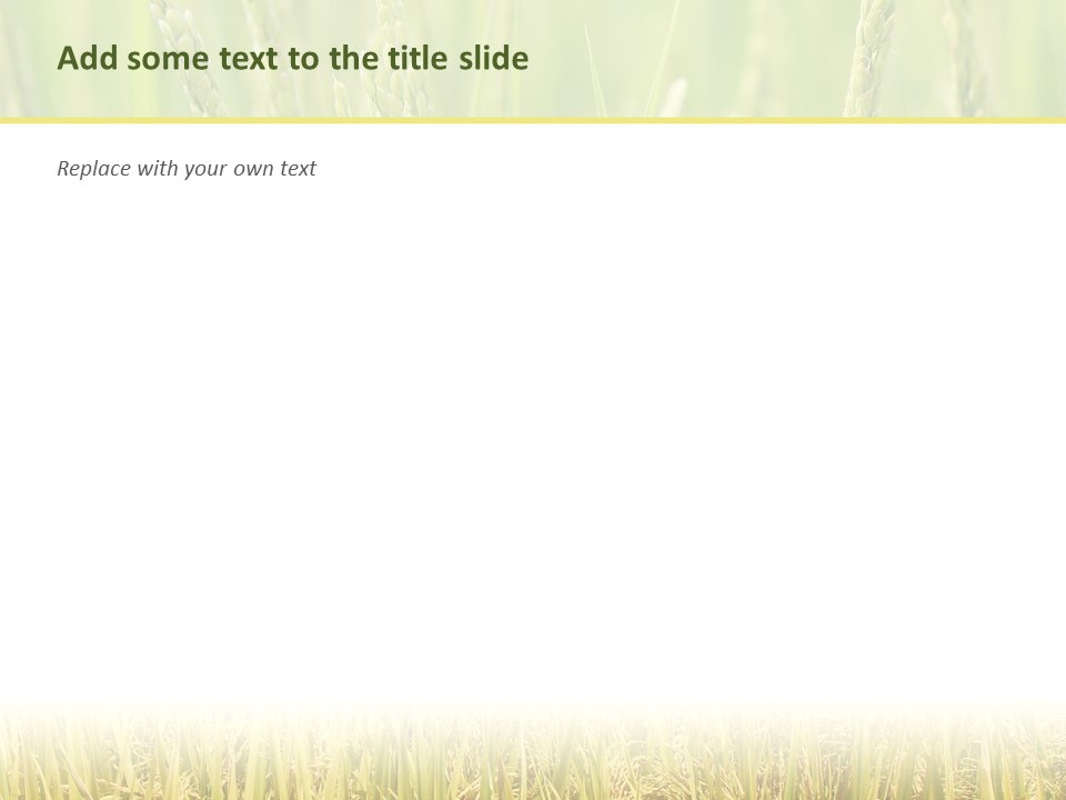 Free Powerpoint Template - Ripening Rice on the Field