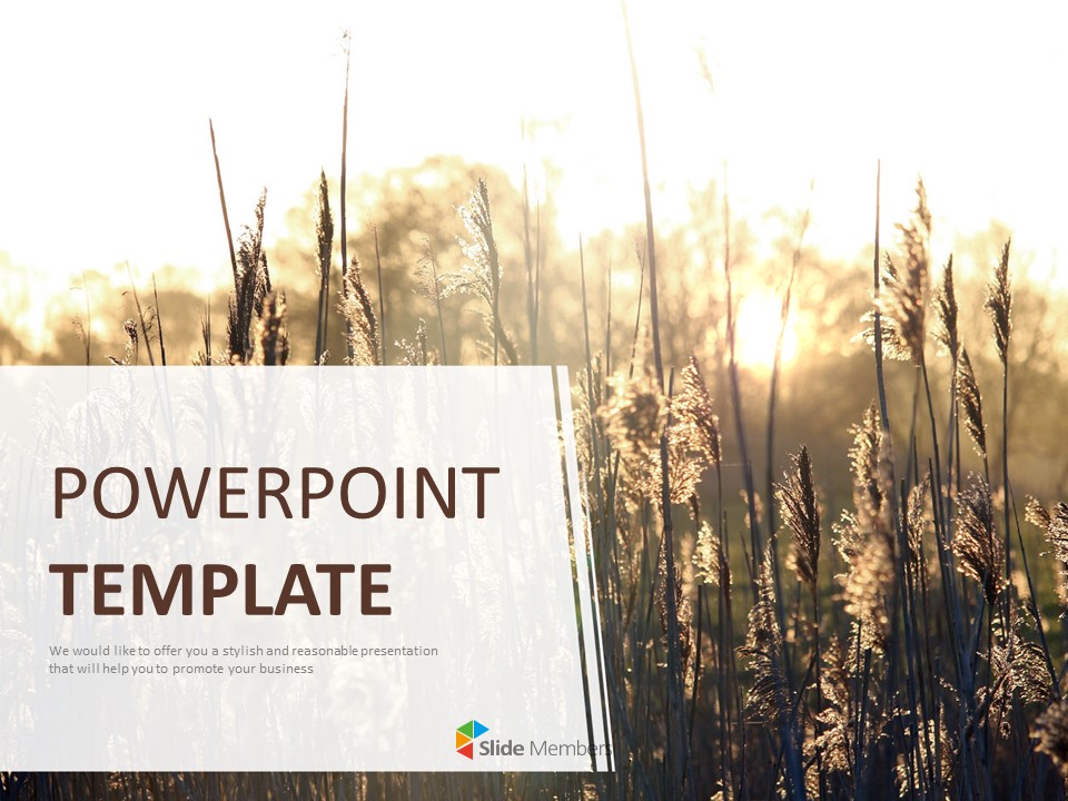 Free Powerpoint Templates Design - Field of Reeds in Fall|Slides