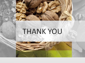 Walnut - Free Design Template