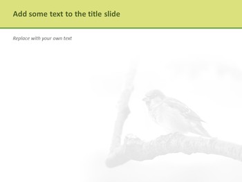 Free Powerpoint Sample - Sparrows in Forests