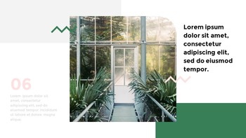 Plants Google Slides Templates for Your Next Presentation