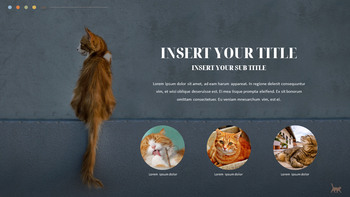 Cat Presentation PowerPoint Templates Design