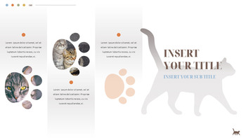 Cat Presentation PowerPoint Templates Design