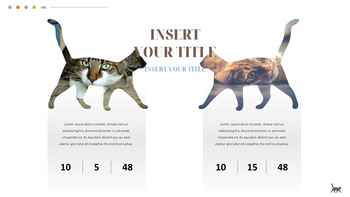 Cat Presentation PowerPoint Templates Design