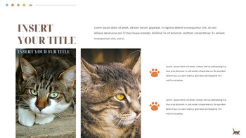 Cat Presentation PowerPoint Templates Design