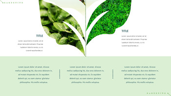 Gardening PPT Presentation