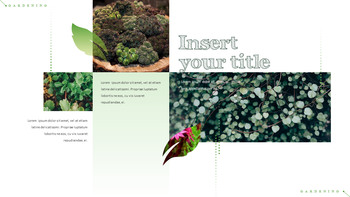 Gardening PPT Presentation