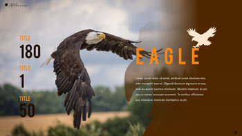 Adler PowerPoint-Präsentationsvorlagen