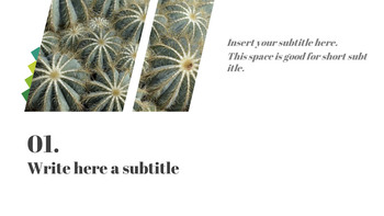 Cactus Simple PowerPoint Template Design