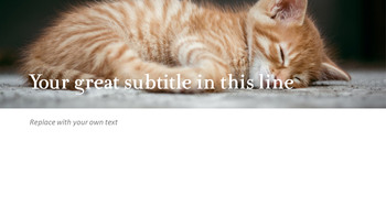 Pet shop Simple PowerPoint Template Design