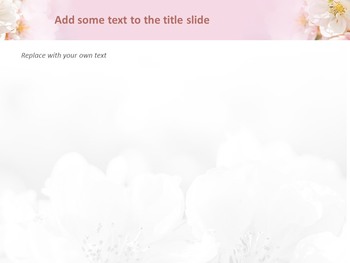 Colorful Spring Flowers - Free Presentation Templates
