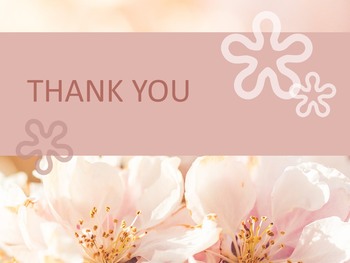 Colorful Spring Flowers - Free Presentation Templates