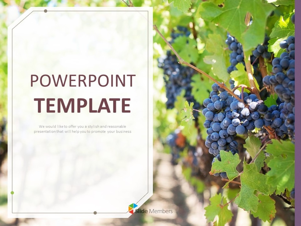 grapes ppt template