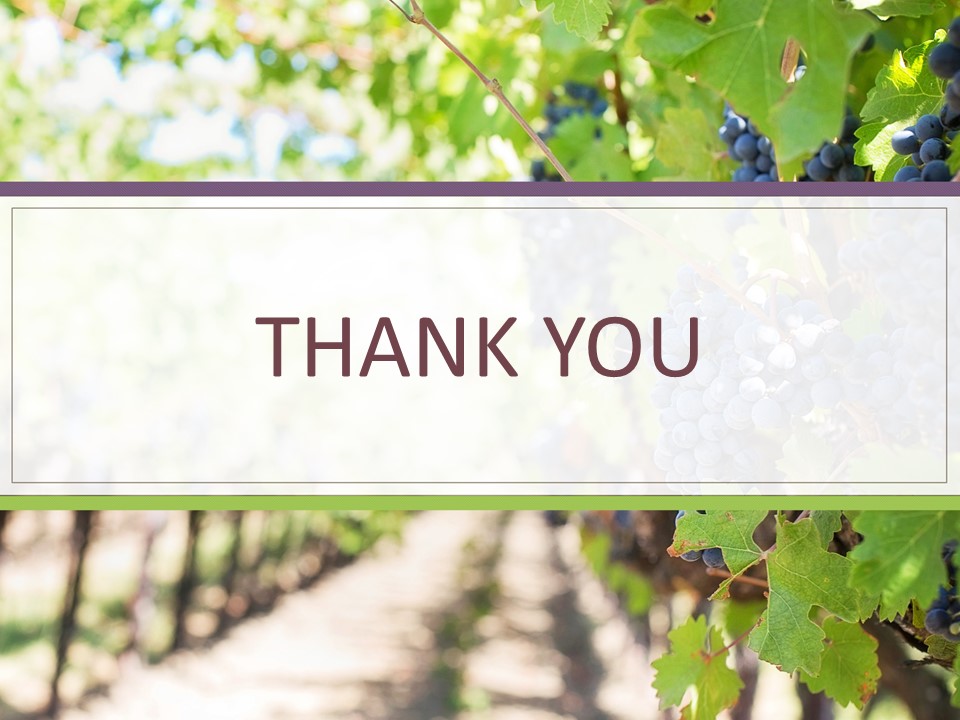 Free PPT Sample - Well-ripen Grapes