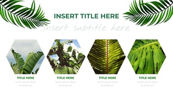 Botanical Google Slides Themes for Presentations