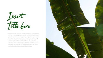 Botanical PowerPoint Templates for Presentation