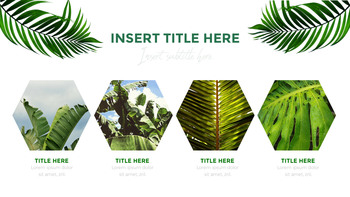 Botanical PowerPoint Templates for Presentation