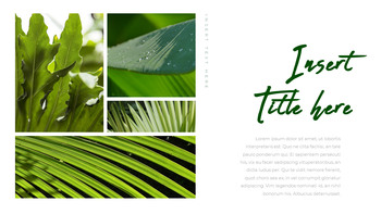 Botanical PowerPoint Templates for Presentation