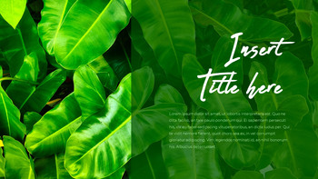 Botanical PowerPoint Templates for Presentation