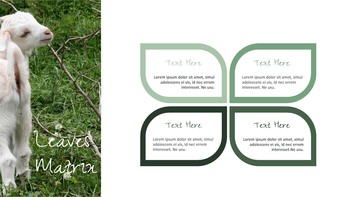 Farm and Livestock Google Slides Presentation