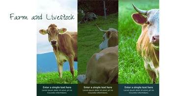 Farm and Livestock Google Slides Presentation