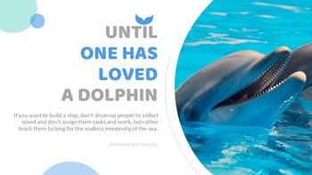 Dolphin Google Slides Template Diagrams Design