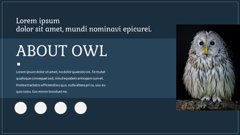 Owl Easy Google Slides Template