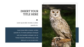 Owl Easy Google Slides Template