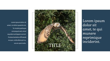 Owl Easy Google Slides Template