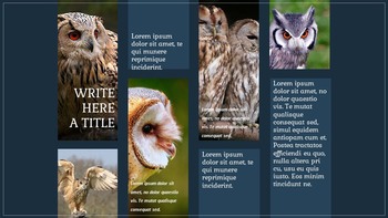Owl Easy Google Slides Template
