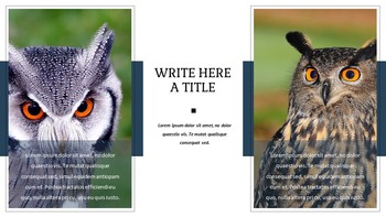 Owl Easy Google Slides Template