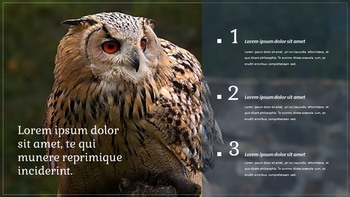 Owl Easy Google Slides Template